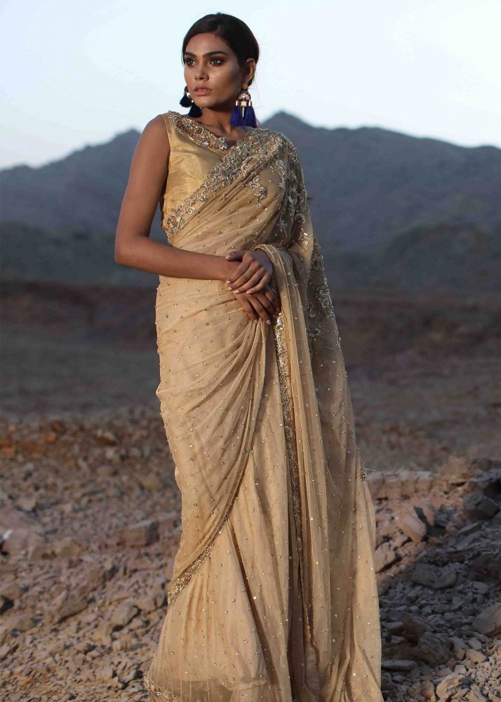 Beautiful Pakistani Bridal and Wedding Sarees From the Lastest ...